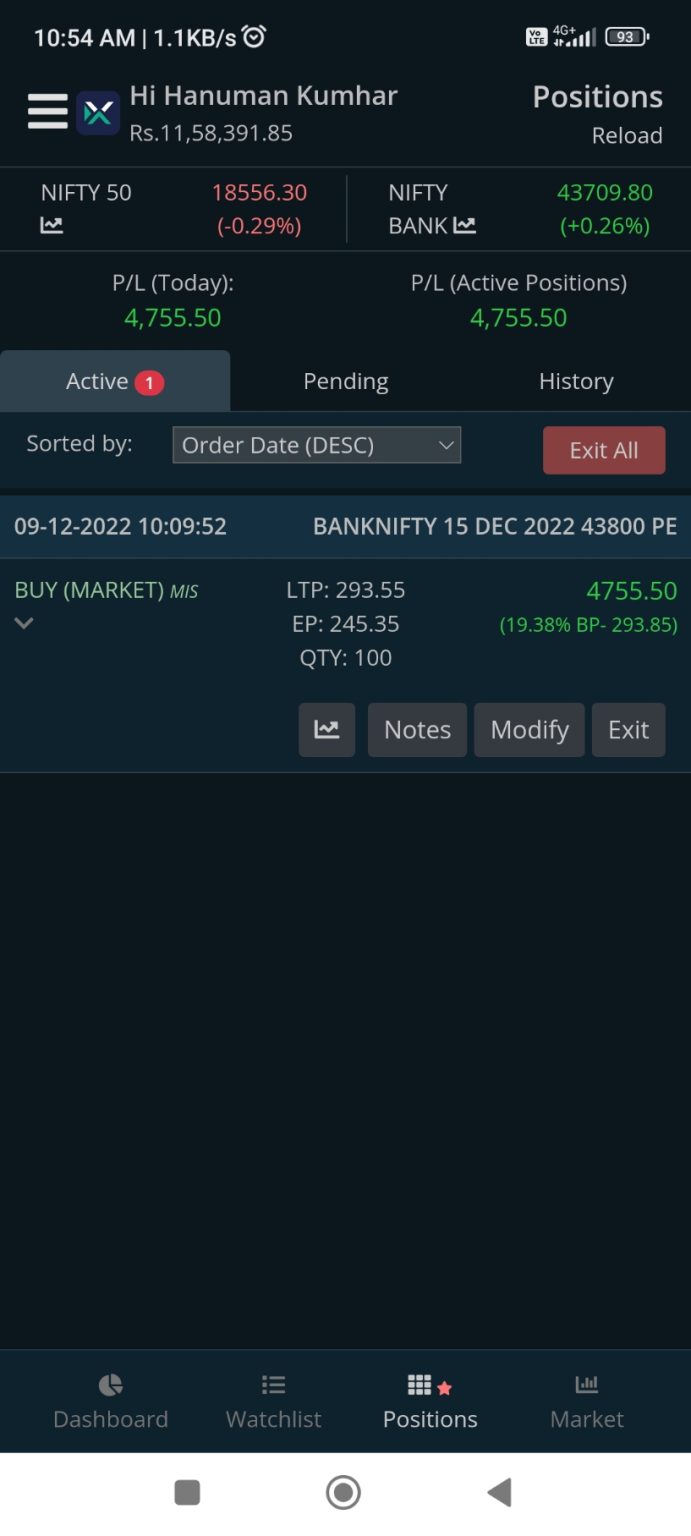 Stock Market Profit and Loss Screenshot | P&L Screenshot