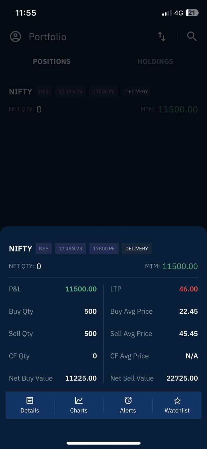 Stock Market Profit And Loss Screenshot | P&L Screenshot