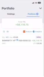Stock Market Profit and Loss Screenshot | P&L Screenshot